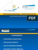 Cuestionario CAMIR-R de Apego | PDF | Familia | Sicología