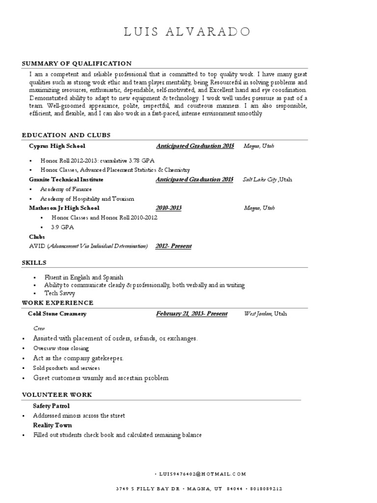 Luis Alvarado: Professional Summary & Skills | PDF