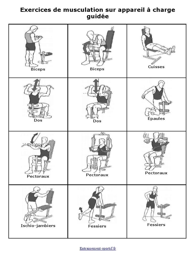 Musculation Charge Guidee | PDF | Sports et loisirs | Développement ...