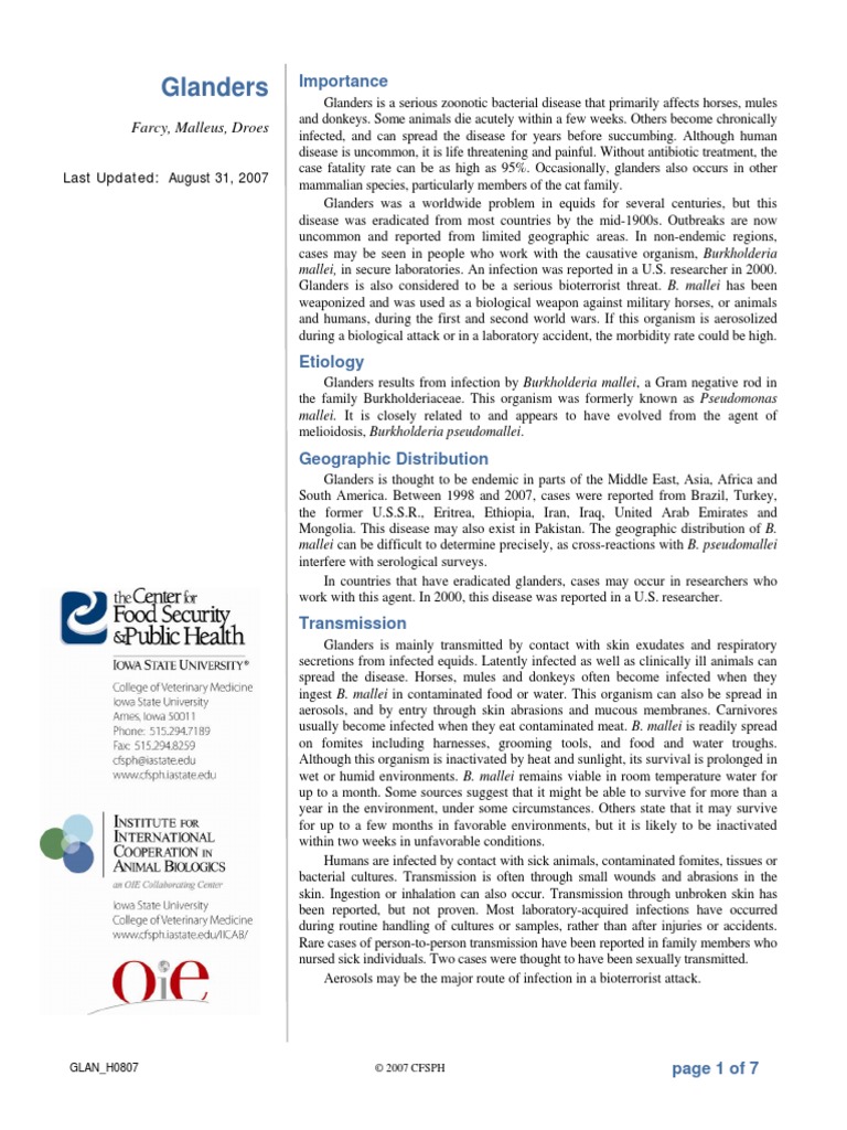Glanders | PDF | Medicine | Diseases And Disorders
