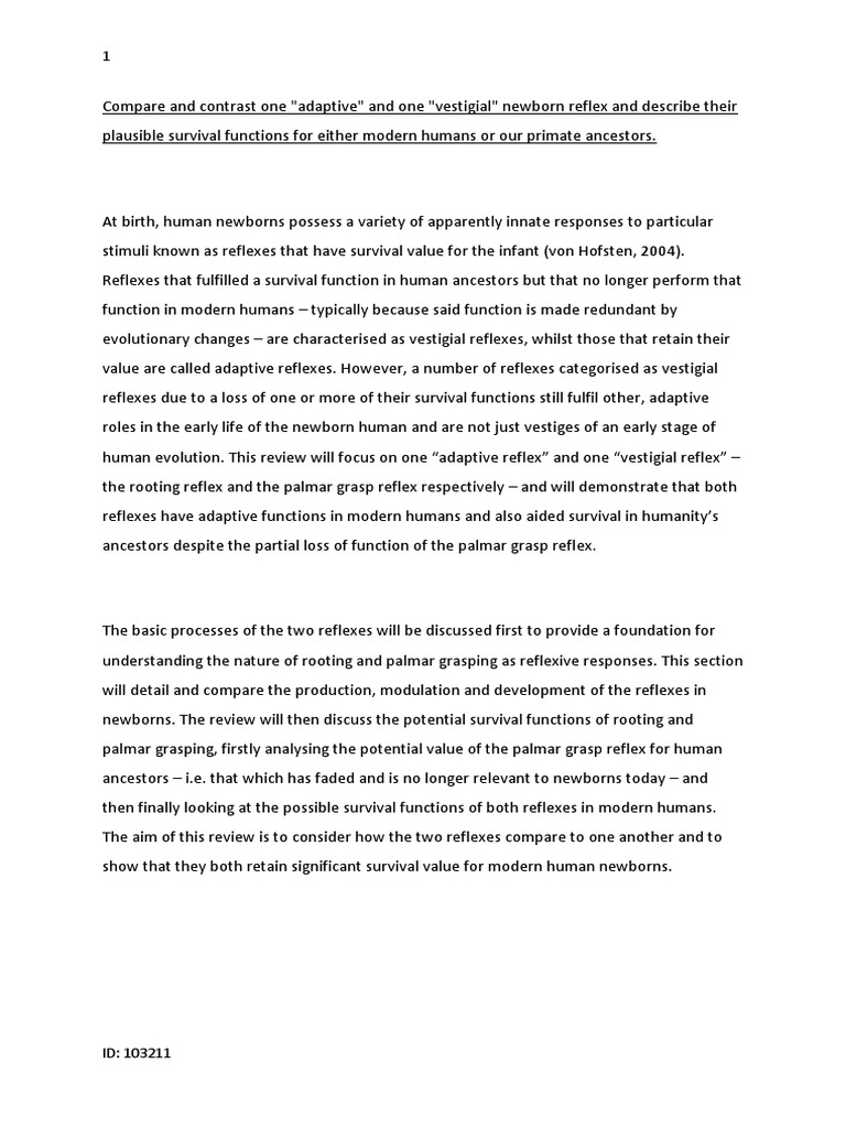 Essay On Adaptive and Vestigial Reflexes | PDF | Infants | Human