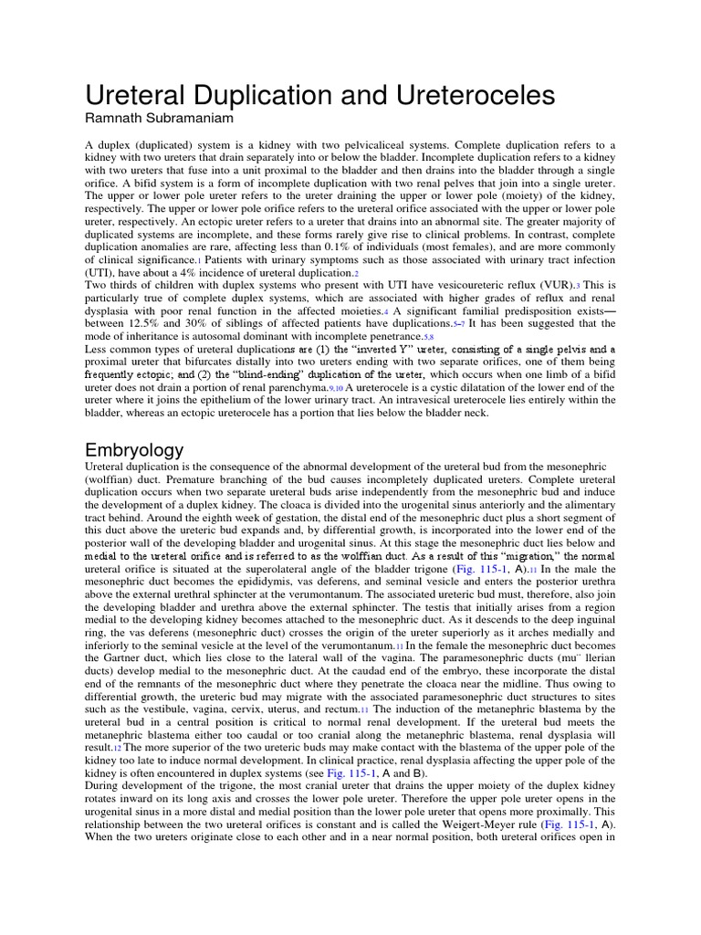 Ureteral Duplication and Ureteroceles | PDF | Urinary Bladder | Kidney