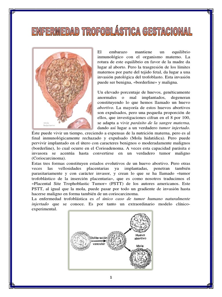 Enfermedad Trofoblástica Gestacional | PDF | El embarazo | Metástasis