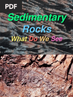 Sedimentary Rocks (Lecture Notes) | PDF | Sedimentary Rock | Shale
