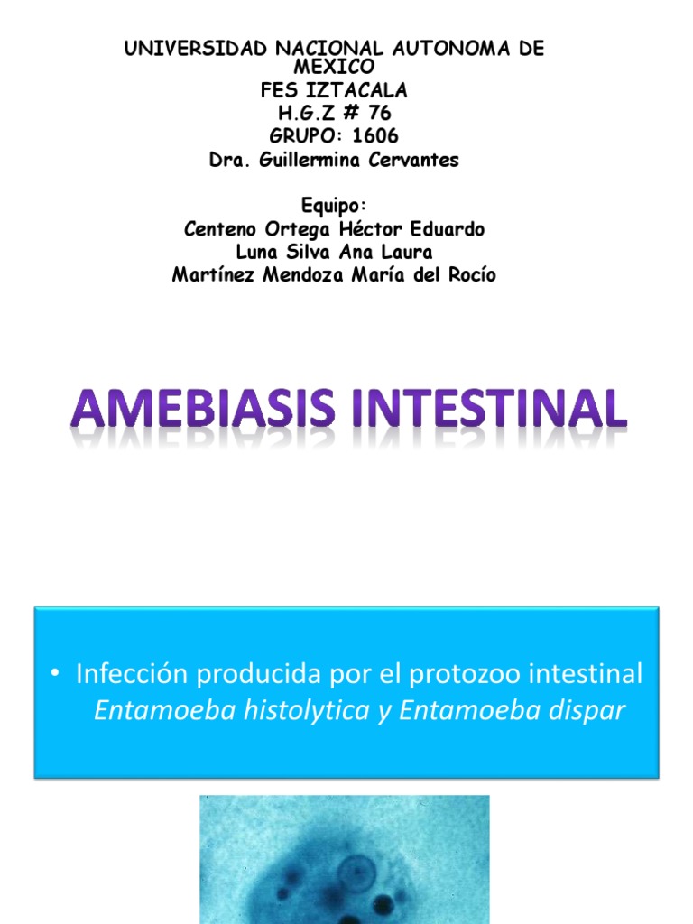 Amebiasis Intestinal | PDF | Sistema digestivo | Epidemiología
