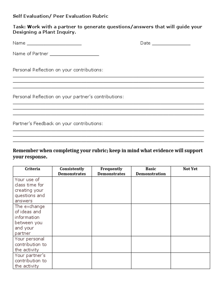 Student Peer Evaluation Rubric | PDF