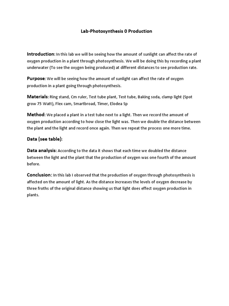 Sunlight Impact on Plant Oxygen Production | PDF