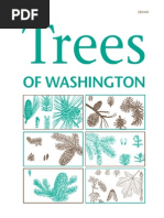 BC Tree Book | PDF | Pine | Trees