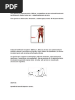 Ejercicios de Codman y Chandler | PDF | Hombro | Enfermedades y trastornos