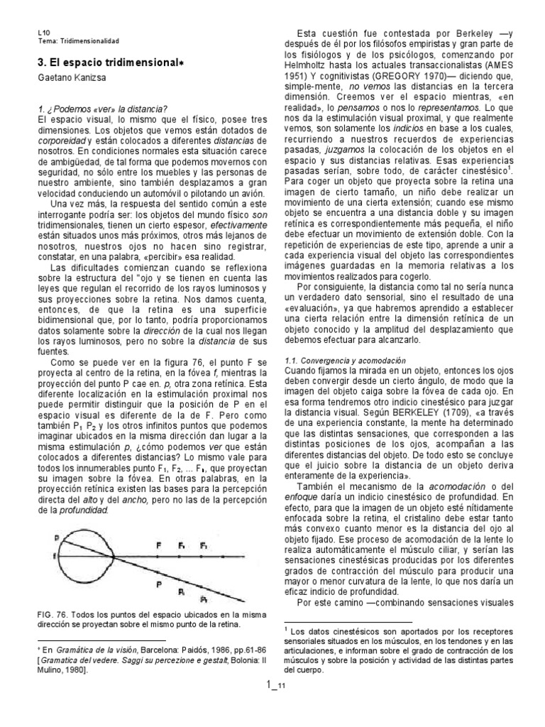 El Espacio Tridimensional | PDF | Percepción visual | Percepción