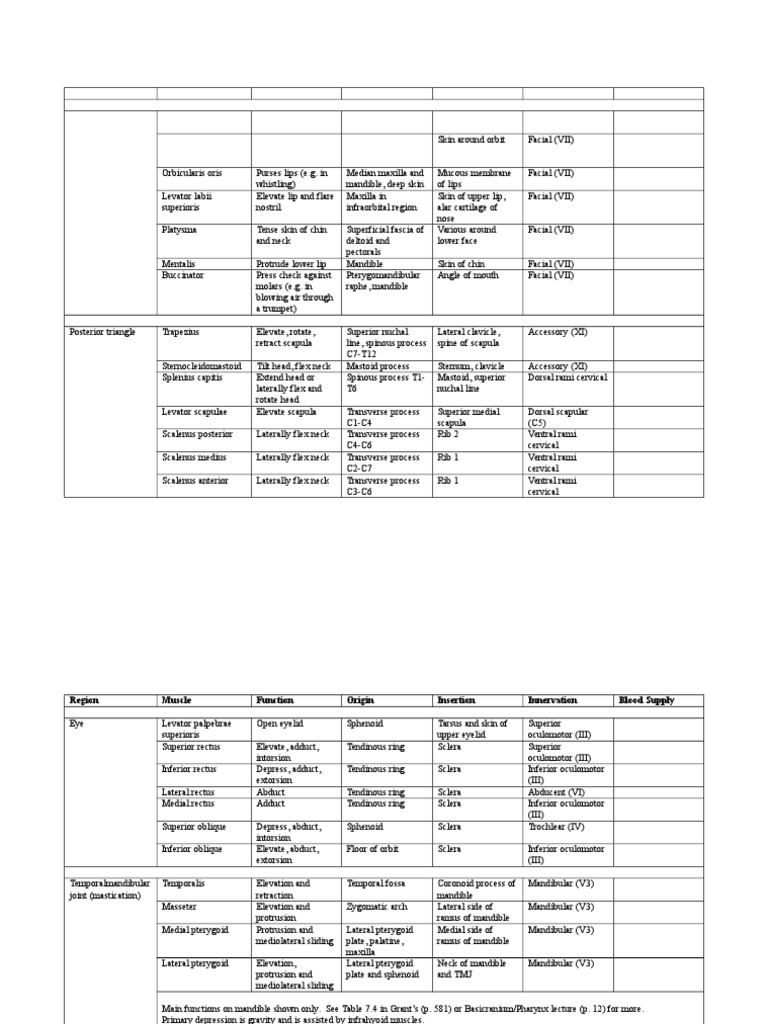 Table of Head and Neck Muscles | PDF | Larynx | Neck
