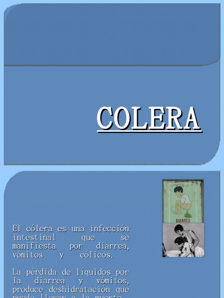 El Cólera Es Una Infección Intestinal Que | PDF | Cólera | Diarrea