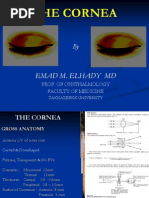 Papilledema Grading System (Frisen Scale) | PDF