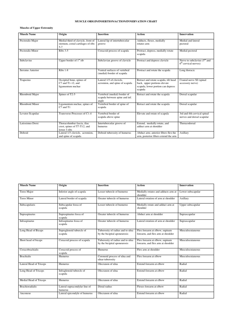 Muscle Origin/Insertion/Action/Innervation Chart Muscles of Upper ...