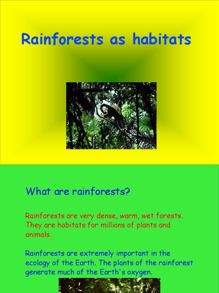 Rainforest Powerpoint | PDF | Rainforest | Organisms