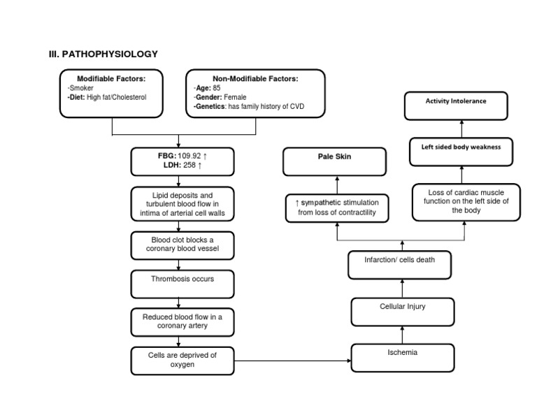 Pathophysiology CVD