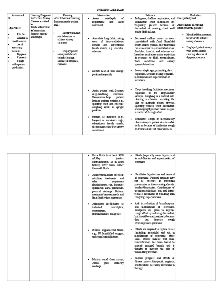 Nursing Care Plan | PDF | Respiratory Tract | Cough