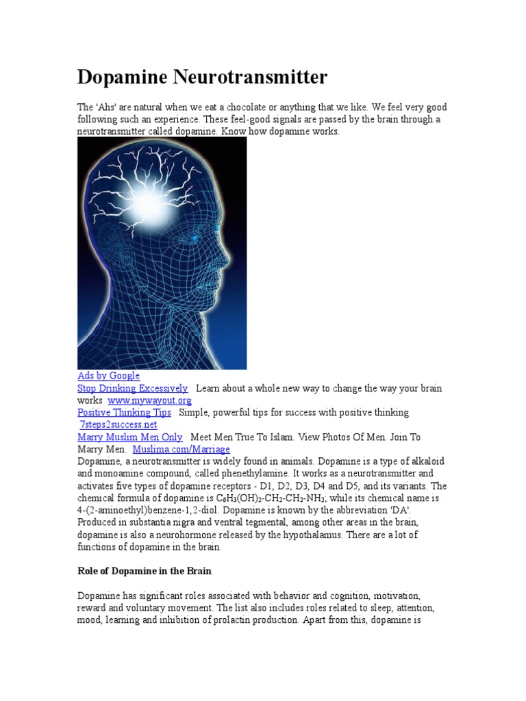 Dopamine Neurotransmitter | PDF | Dopamine | Reward System