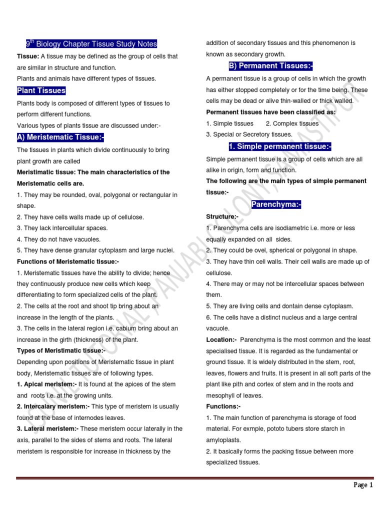 9th Biology Chapter Tissue Study Notes | PDF | Tissue (Biology ...