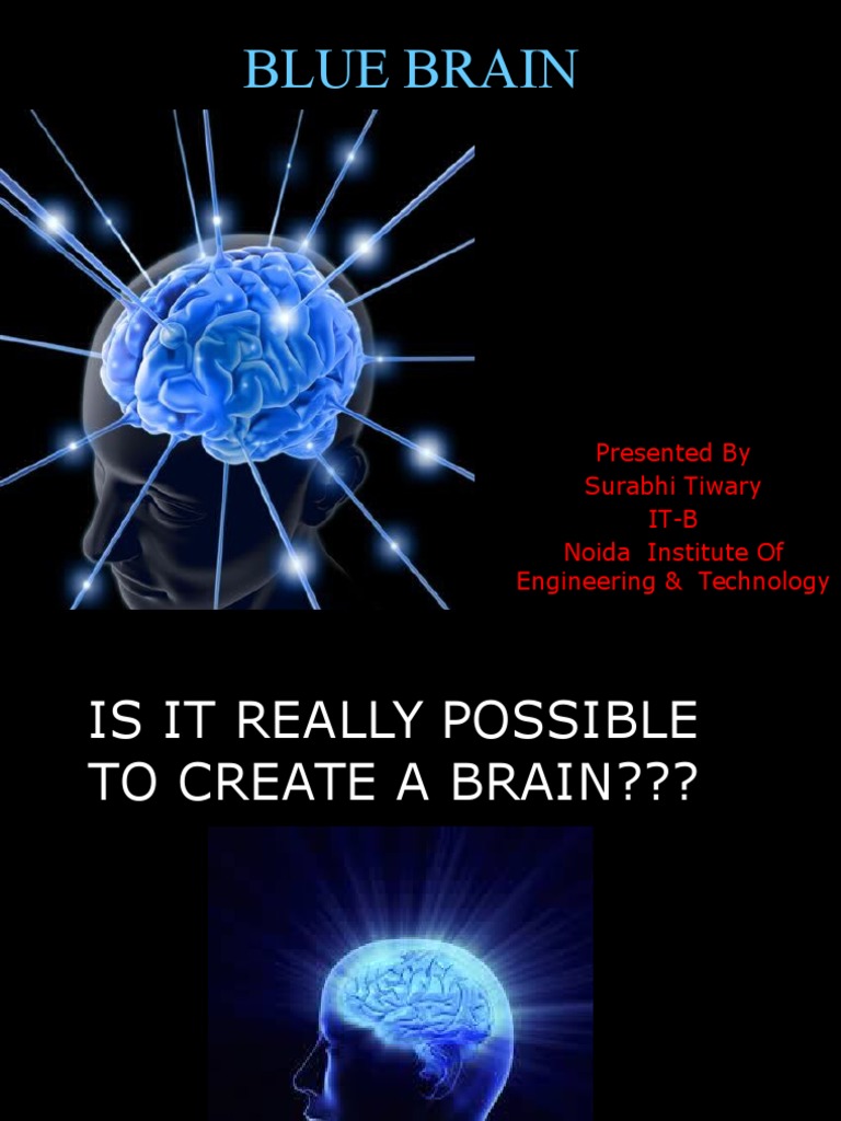 Blue Brain: Presented by Surabhi Tiwary It-B Noida Institute of ...