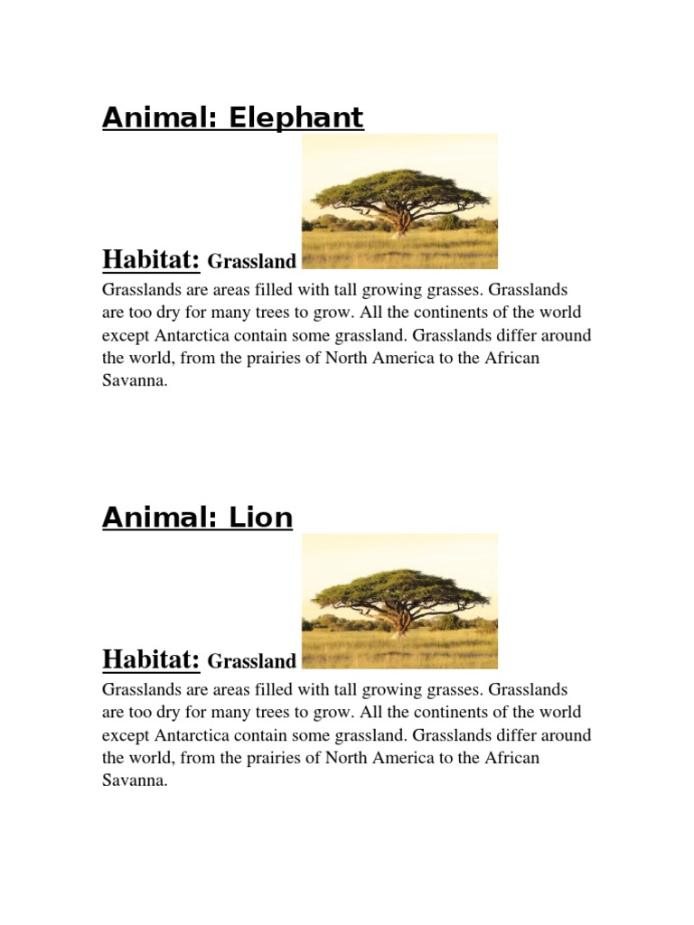 Animals and Their Habitats Explained | PDF | Grassland | Oceans