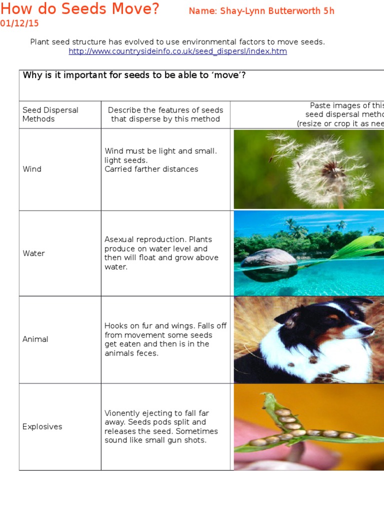 Seed Dispersal Methods Explained | PDF