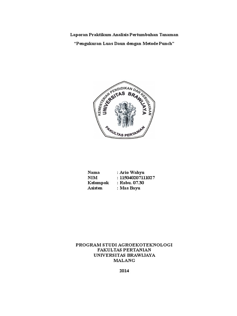 Laporan APT Metode Punch | PDF