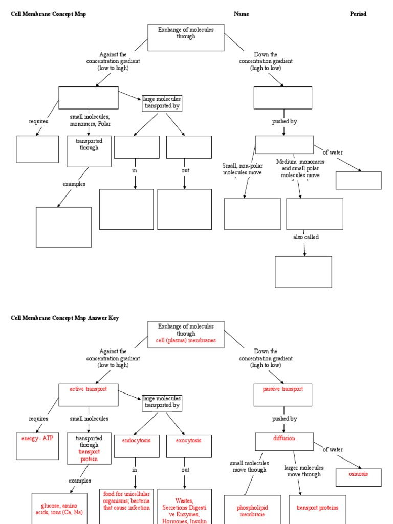 Cell Membrane Concept Map | PDF | Cell Membrane | Cell Biology