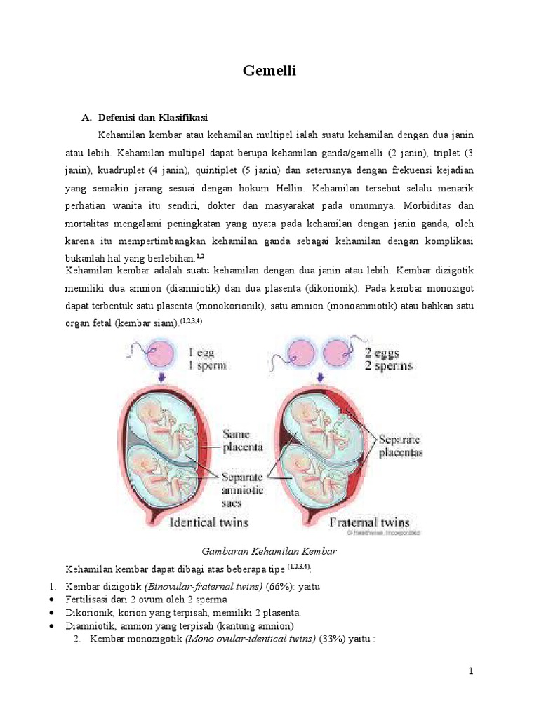 Teori Gemeli | PDF | Sains & Matematika