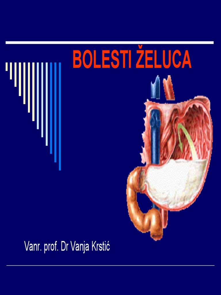 Bolesti Zeluca Malih Zivotinja | PDF | Sains & Matematika