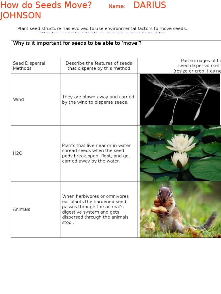 Seed Dispersal Word | PDF