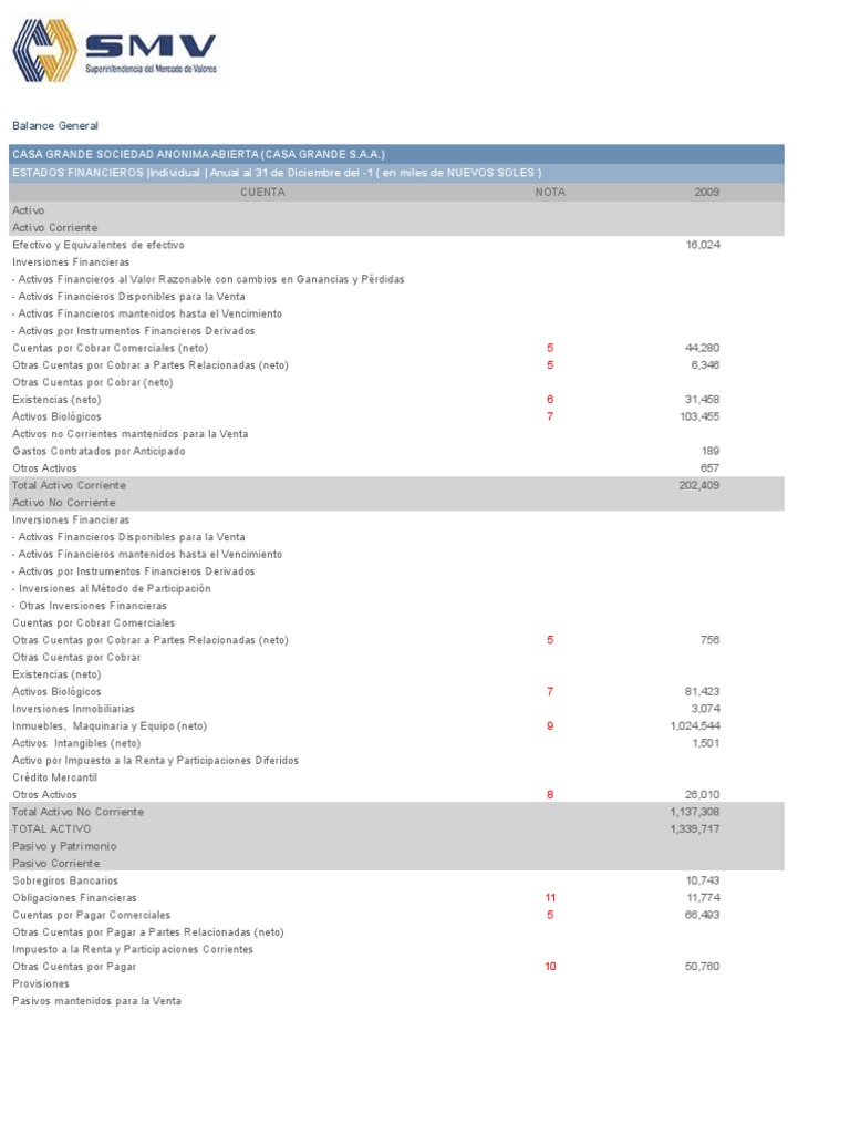 Balance General | PDF