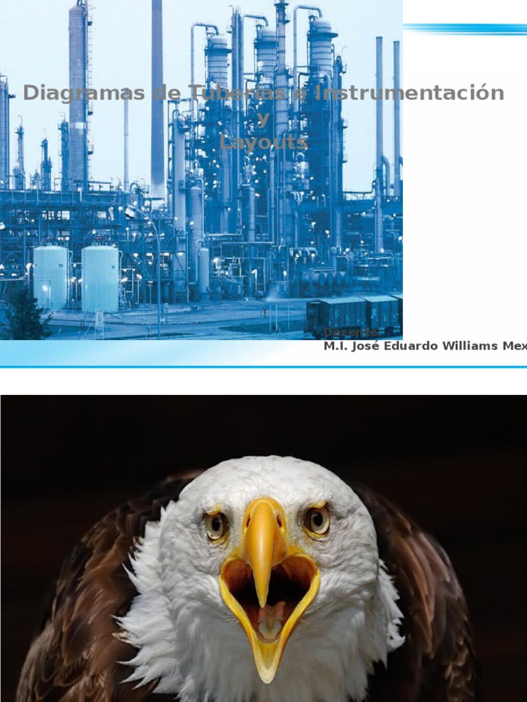 DTI & Layout | PDF | Información | Diseño