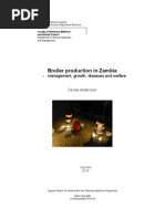 Excel Feed Formulation | PDF | Animal Feed | Computer Programming