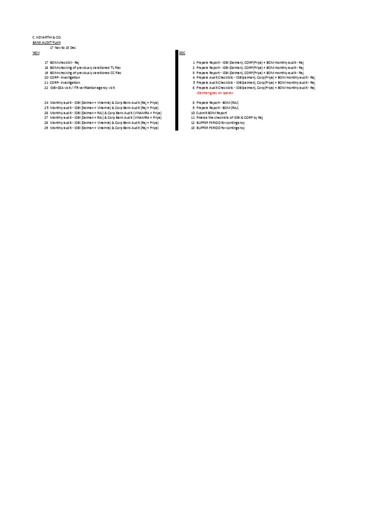 Bank Audit Plan | PDF | Business | Finance & Money Management