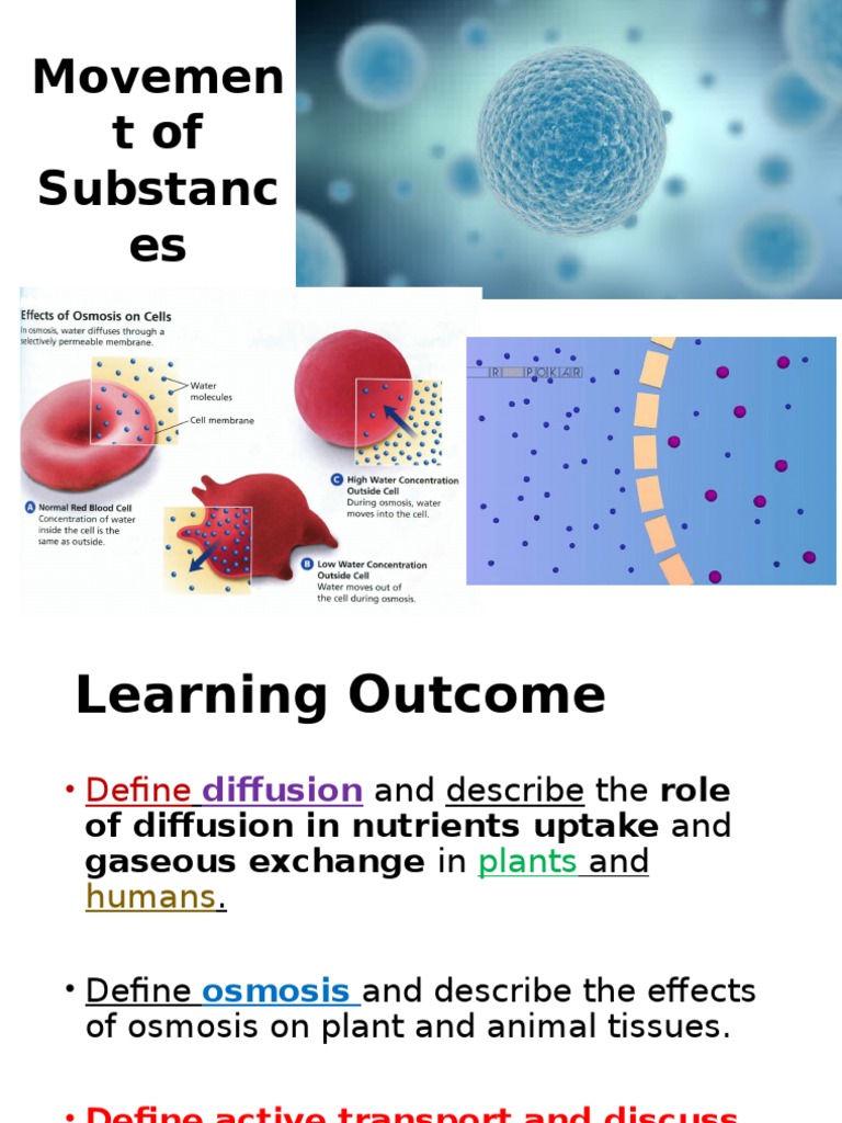 Movement of Substances | PDF | Osmosis | Diffusion