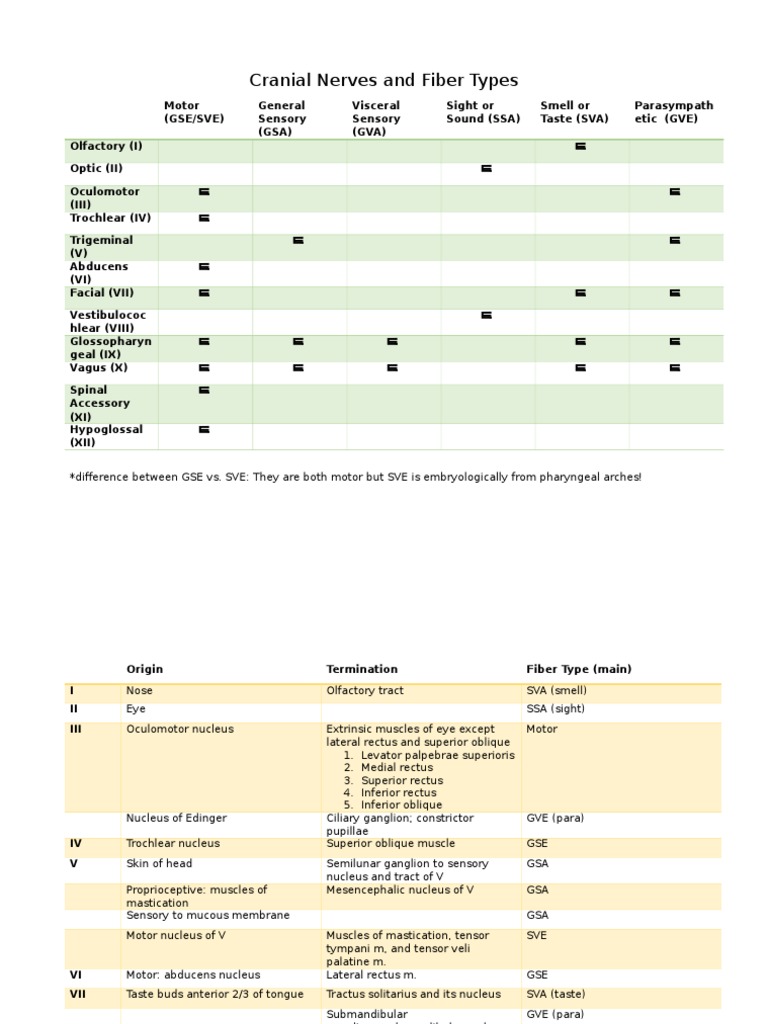 Cranial Nerves and Fiber Types | PDF