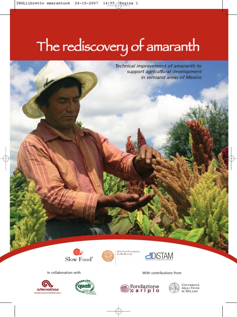 The Rediscovery of Amaranth | PDF | Flour | Wheat