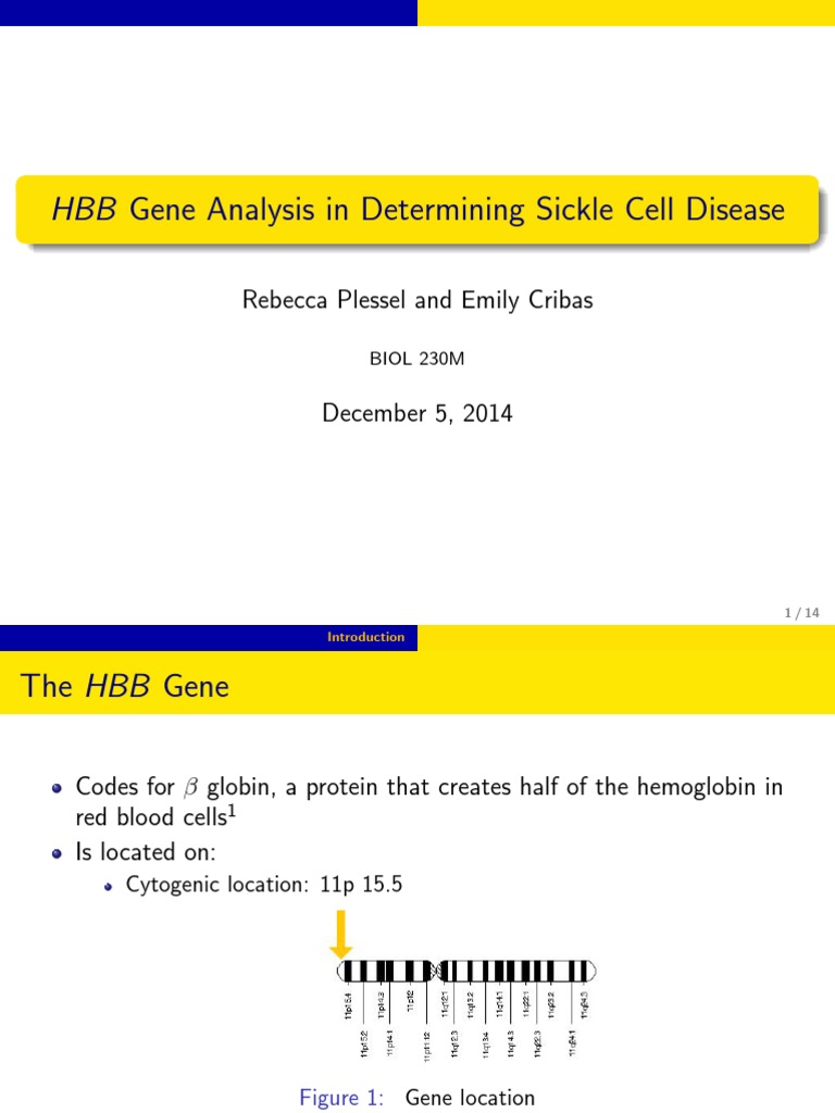 HBB Gene Analysis in Determining Sickle Cell Disease: Rebecca Plessel ...