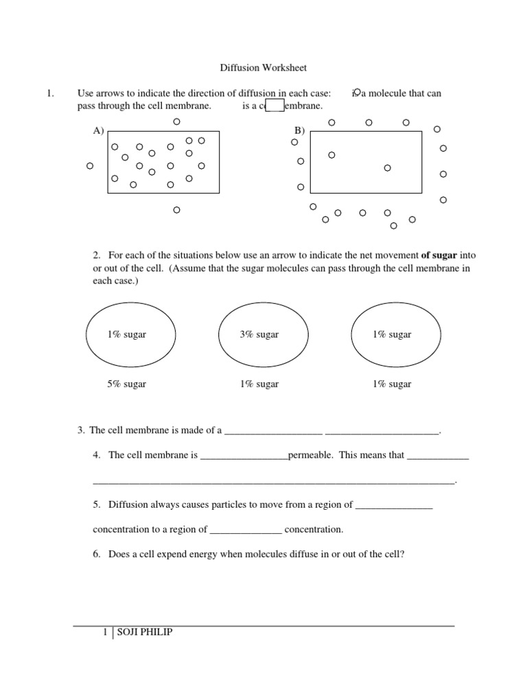 Diffusion Worksheet | PDF