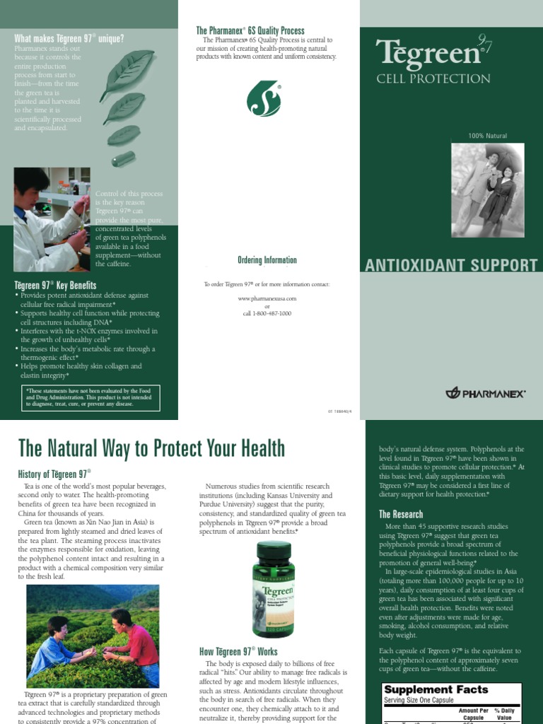 Tegreen Trifold Brochure | PDF | Green Tea | Polyphenol