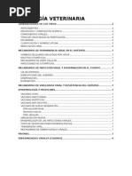 Clasificación Viral de Baltimore | PDF | Virus | Rna