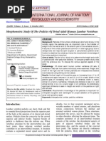 LAS Rank Structure | PDF | Emergency Medical Services | Emergency Services