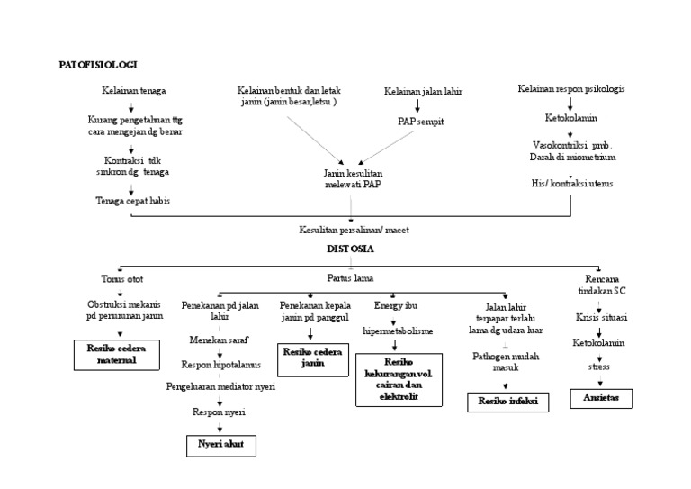 Patofis LP Distosia | PDF