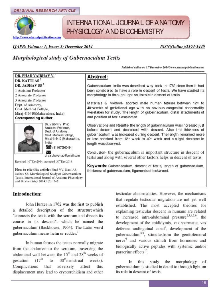 Volume 1 Issue 3 Page 16-21 Morphological Study of Gubernaculum Testis ...