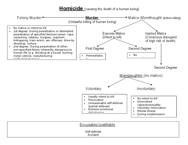 Homicide and Murder Law Overview | PDF