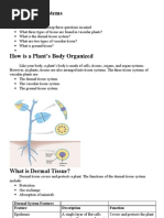 Lesson Plan For Reproduction in Plants | PDF | Pollination | Flowers