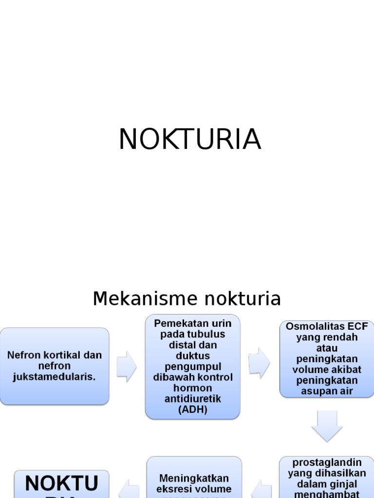 Nok Turia | PDF