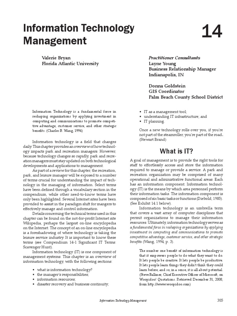 Information Technology Management | PDF