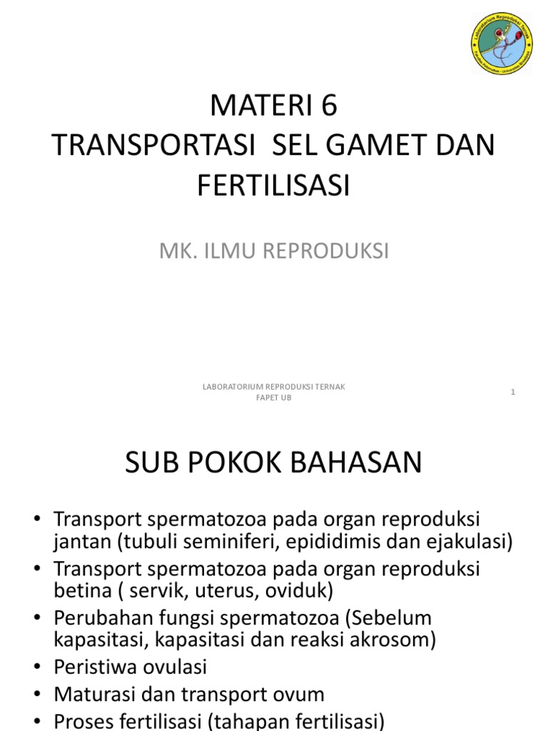 Materi 6 Transportasi Sperma Dan Fertilisasi Irt | PDF | Ilmu Sosial | Kesehatan Holistik